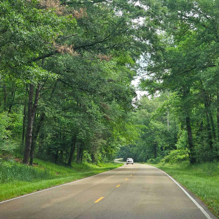 Explore the Natchez Trace Parkway