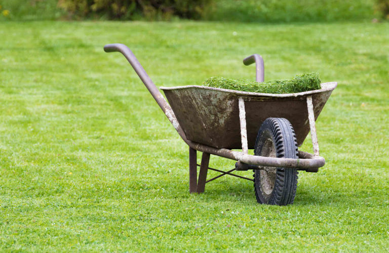 What To Do With Grass Clippings—And Why Tossing Them Might Be A Mistake
