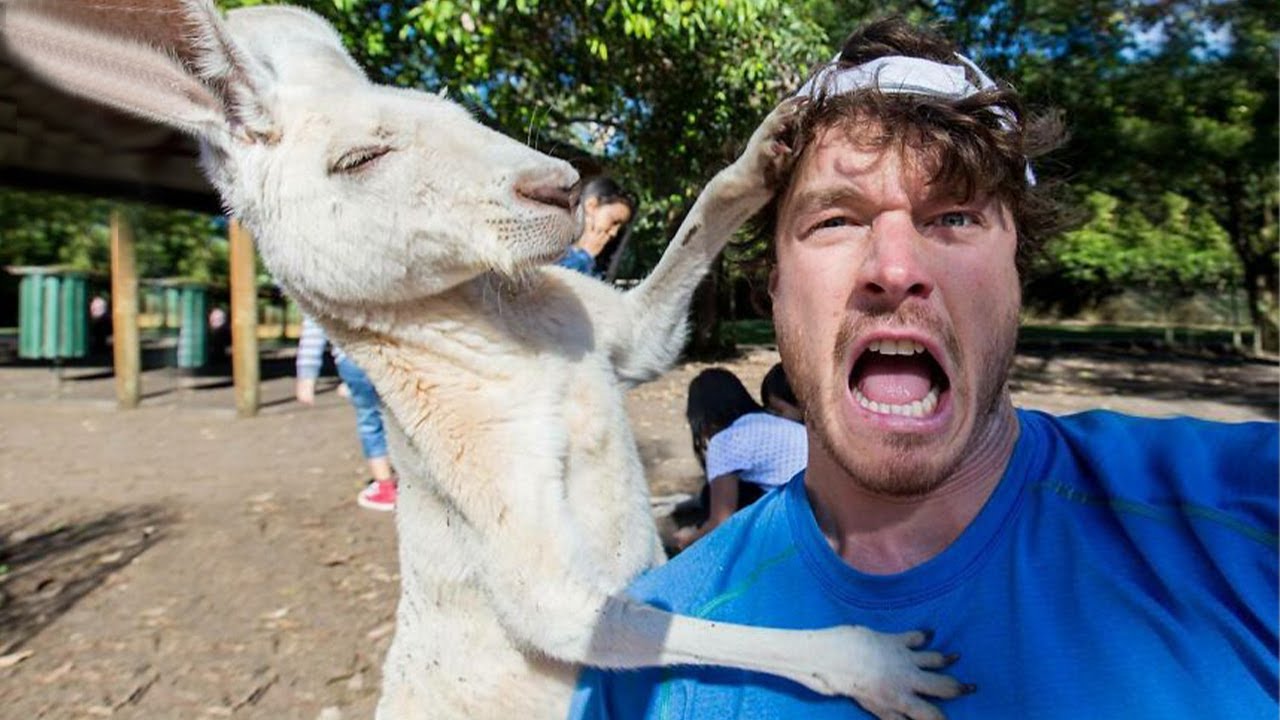 Can’t Stop Laughing with These Funny Animals and Humans