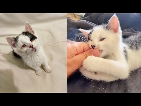 Left frozen on the side of the road - how she was saved