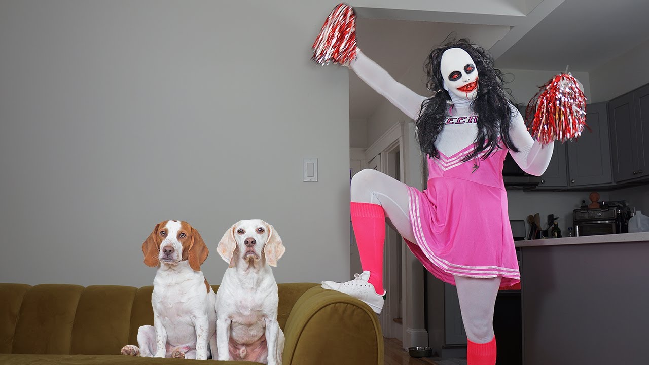Dogs face zombie cheerleader in spooky Halloween prank