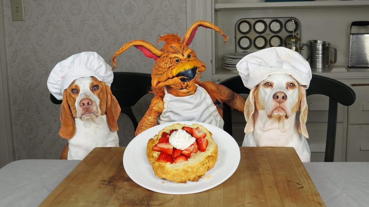 Dogs bake shortcake alongside a strange creature