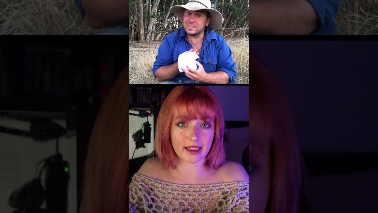 Handling a King Cobra Bite