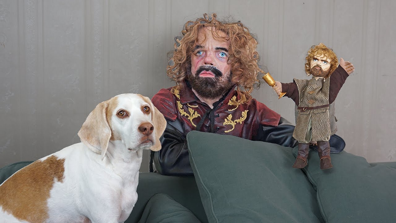 Dogs get pranked by Lil Big Tyrion from Thrones