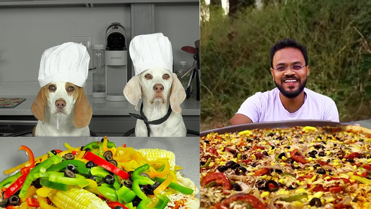 Dogs make giant veggie pizza in fun cooking recreation