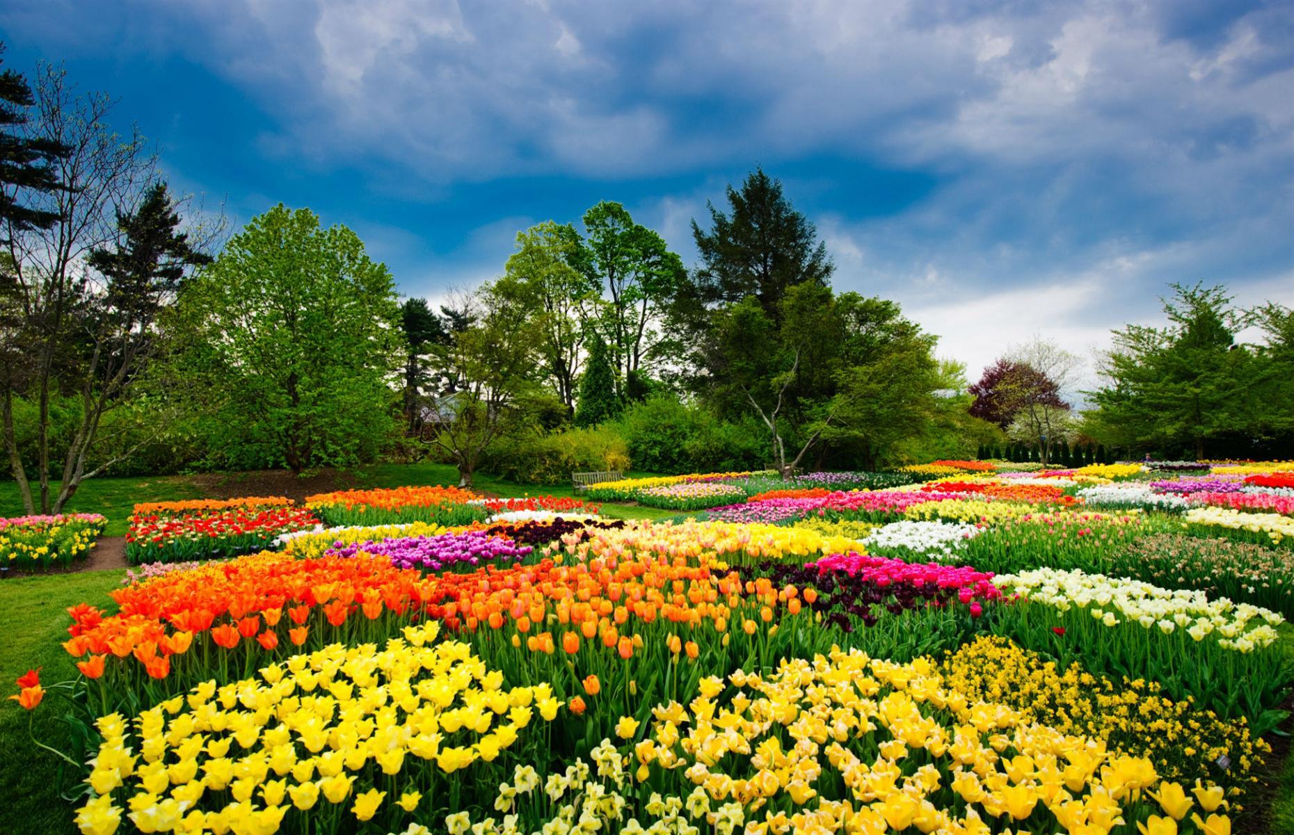 Kew Gardens and more of the world's most beautiful flower displays