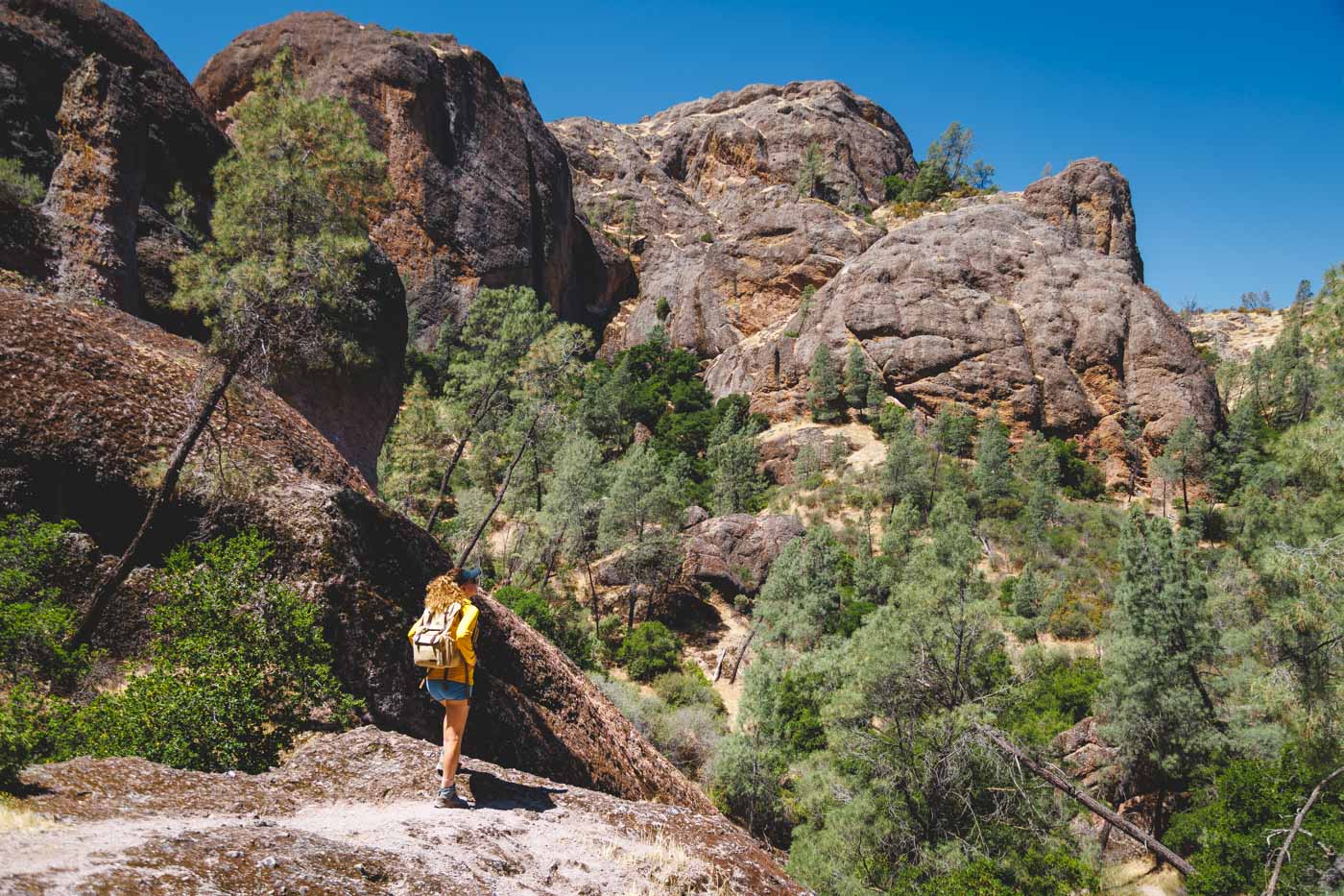 7 BEST Hikes in Pinnacles National Park