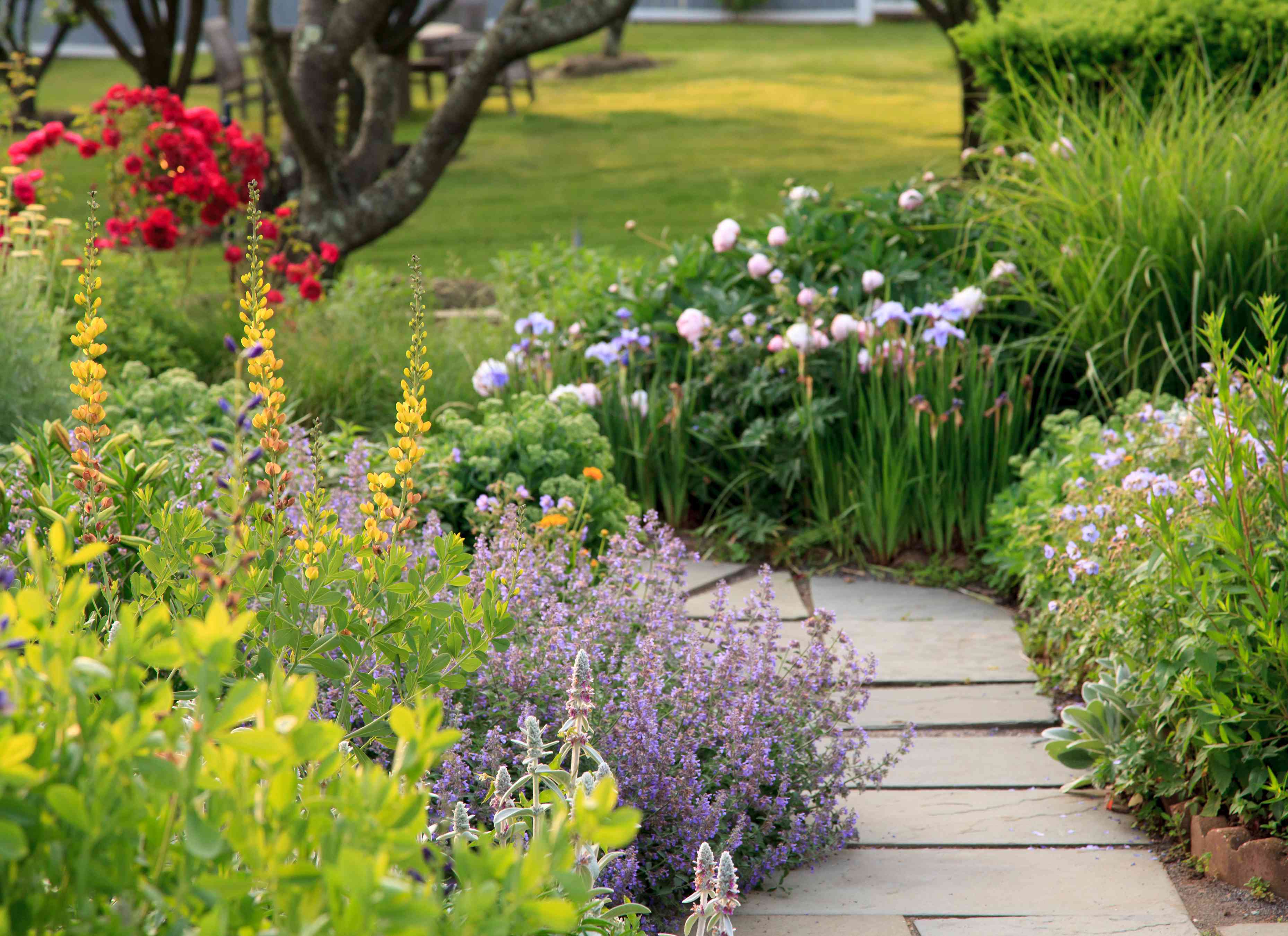 7 uses for vinegar in the garden, from killing weeds to deterring pests