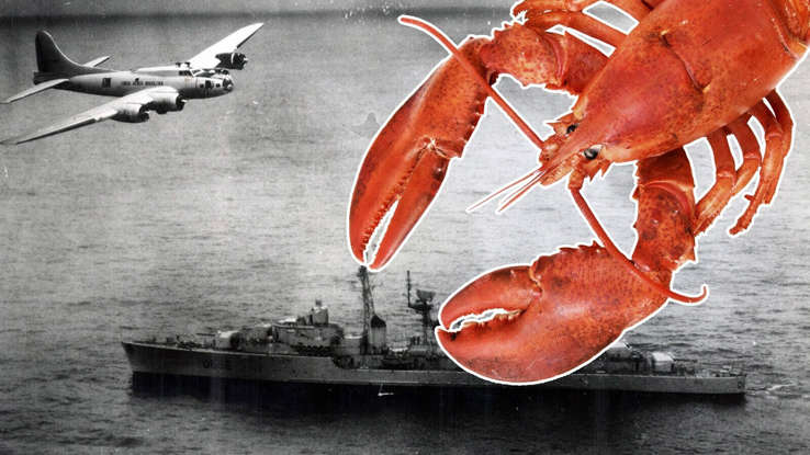 16 Hilarious Historical Facts You Won't Find in Any Text Books 16 Hilarious Historical Facts You Won't Find in Any Text Books