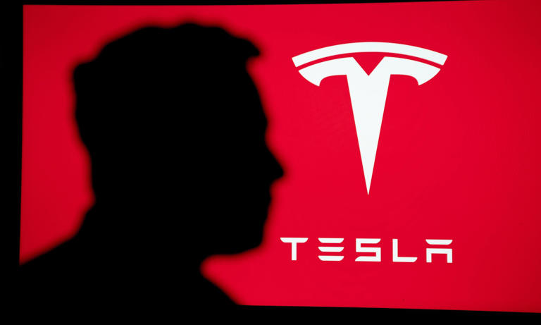 Elon Musk Hails Most Awesome Shareholder Base As Tesla Investors Back