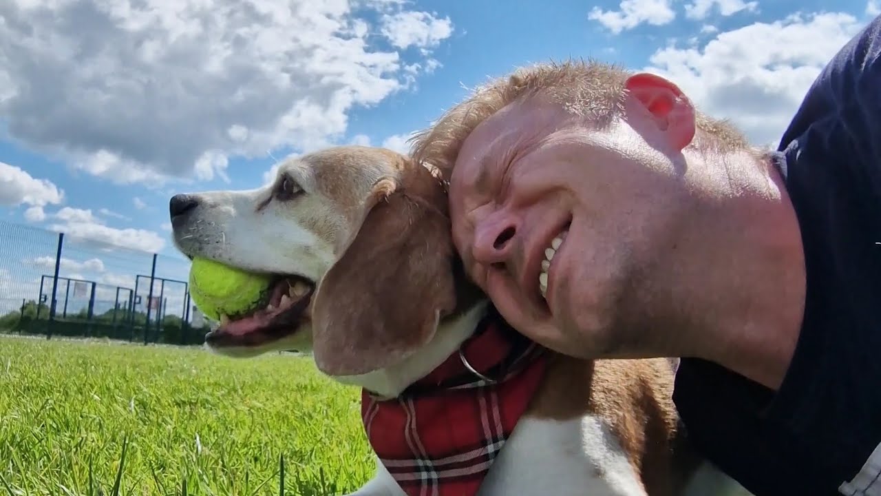 How My Dog Expects Me to React