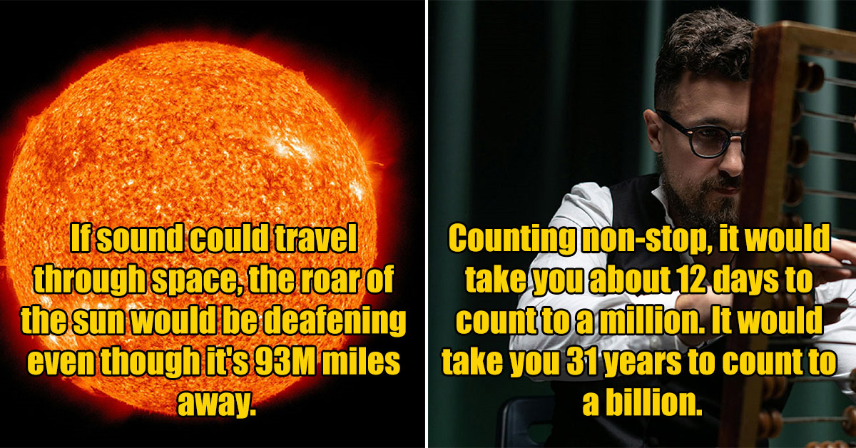 30 Interesting Facts That Some People Struggle To Comprehend