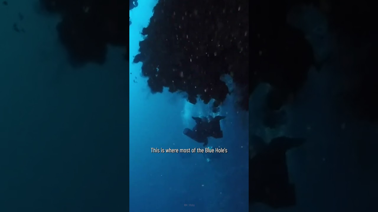 Learn the scary facts about diving into the Blue Hole