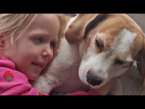 Little girl greets her dogs as soon as she wakes up