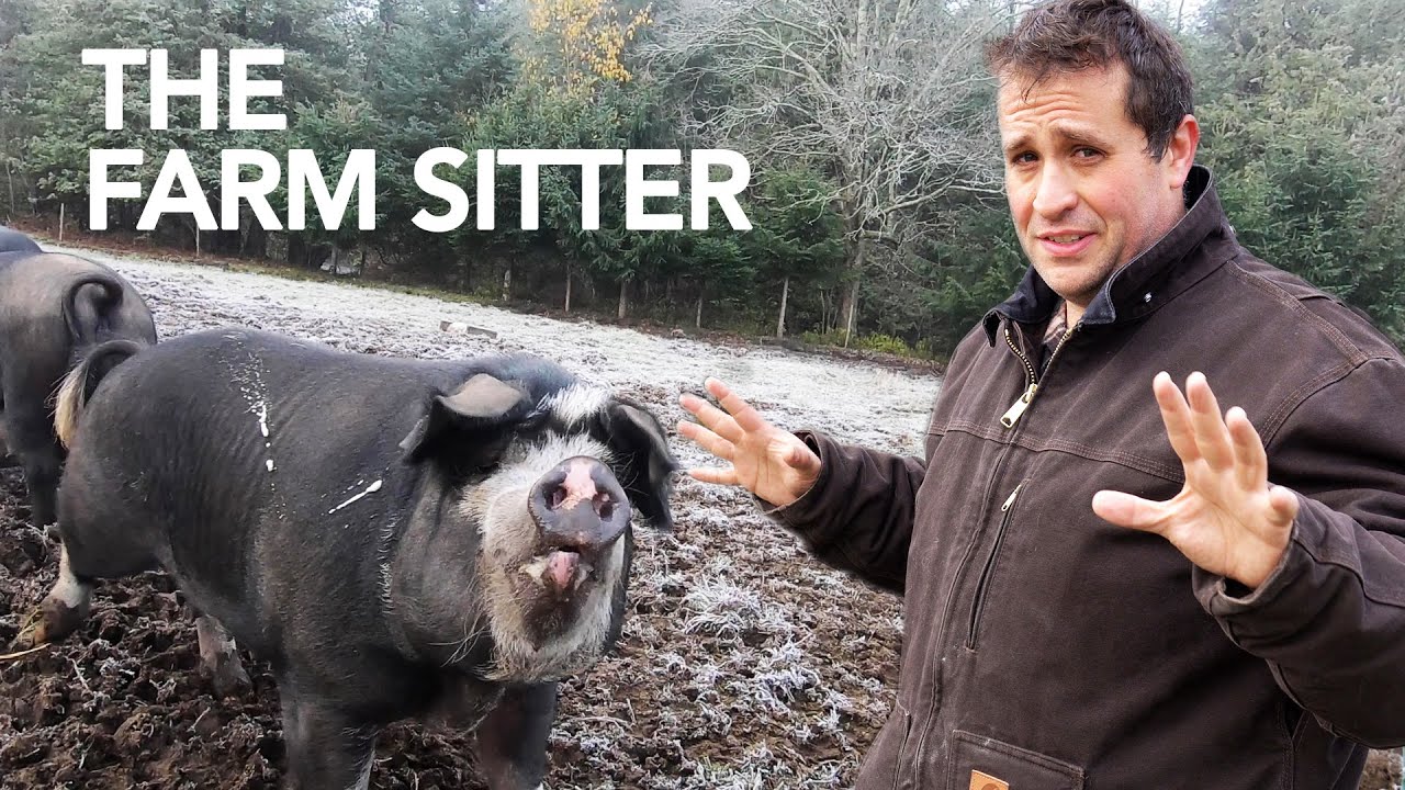 How to become a farm sitter and start farming