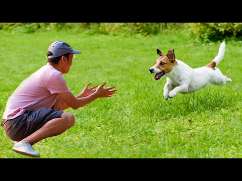 Reunions so powerful, even grown-ups tear up