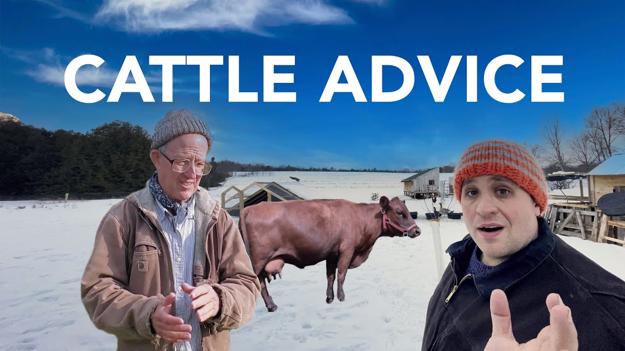 Greg Judy warned me not to attempt this project