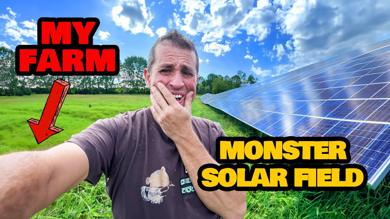 What happened when they built a solar farm next to mine