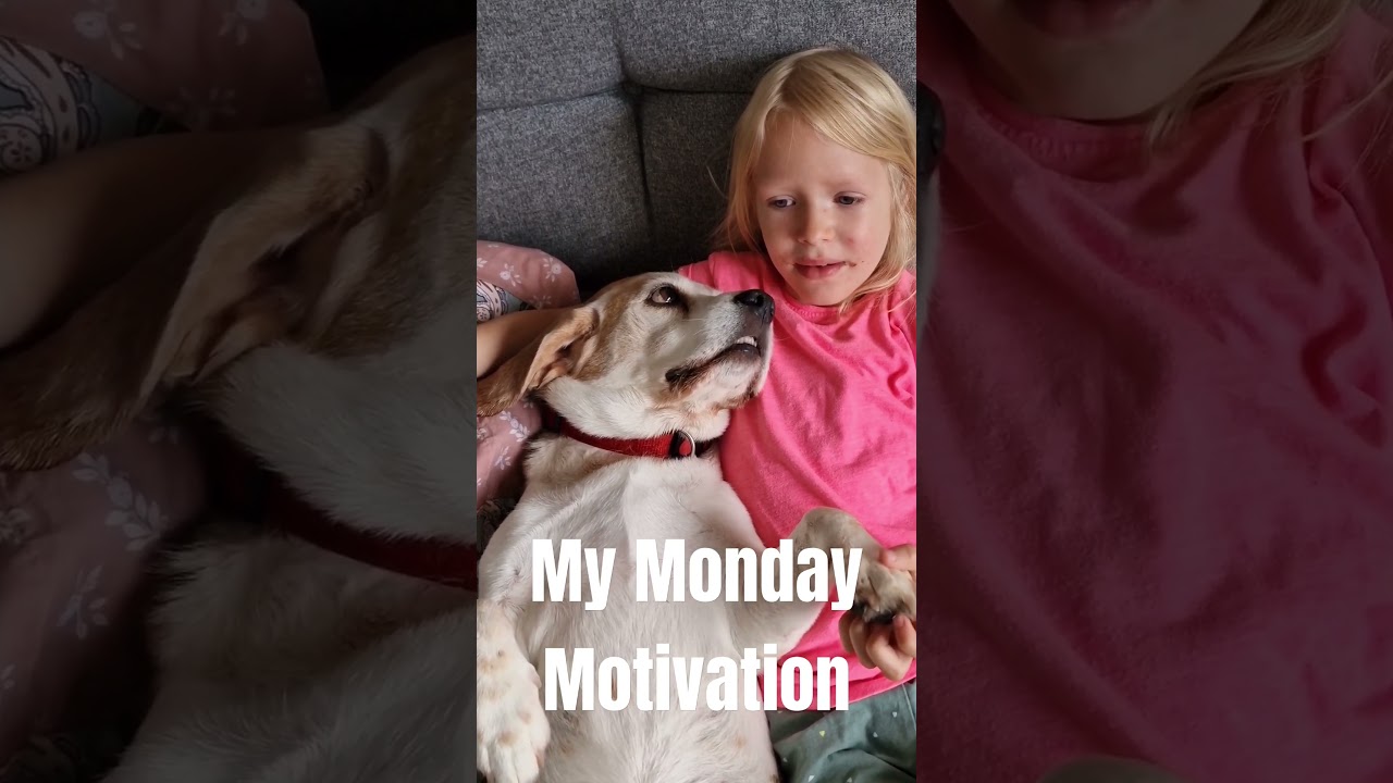 My weekday motivation grows from cozy beagle cuddles