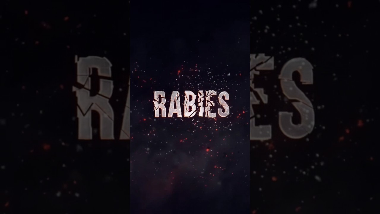 Rabies warning signs and what to avoid