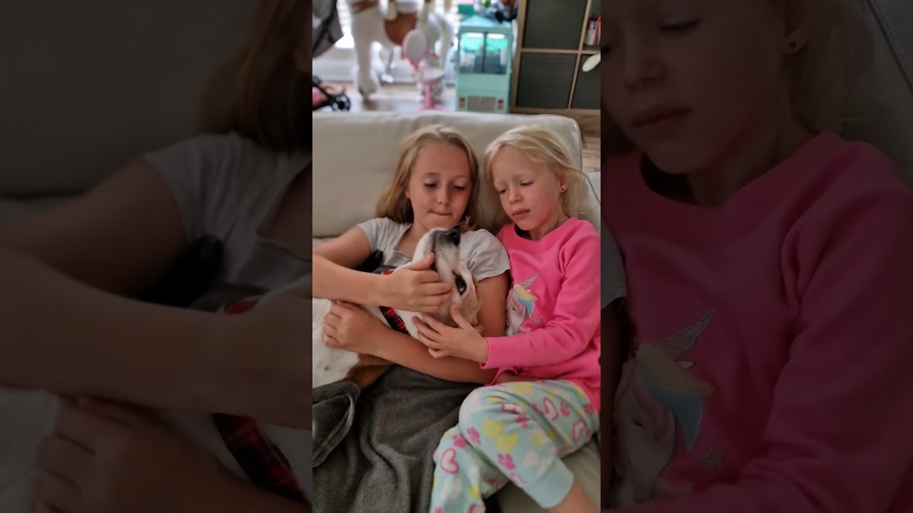 My old dog shows the true meaning of unconditional love