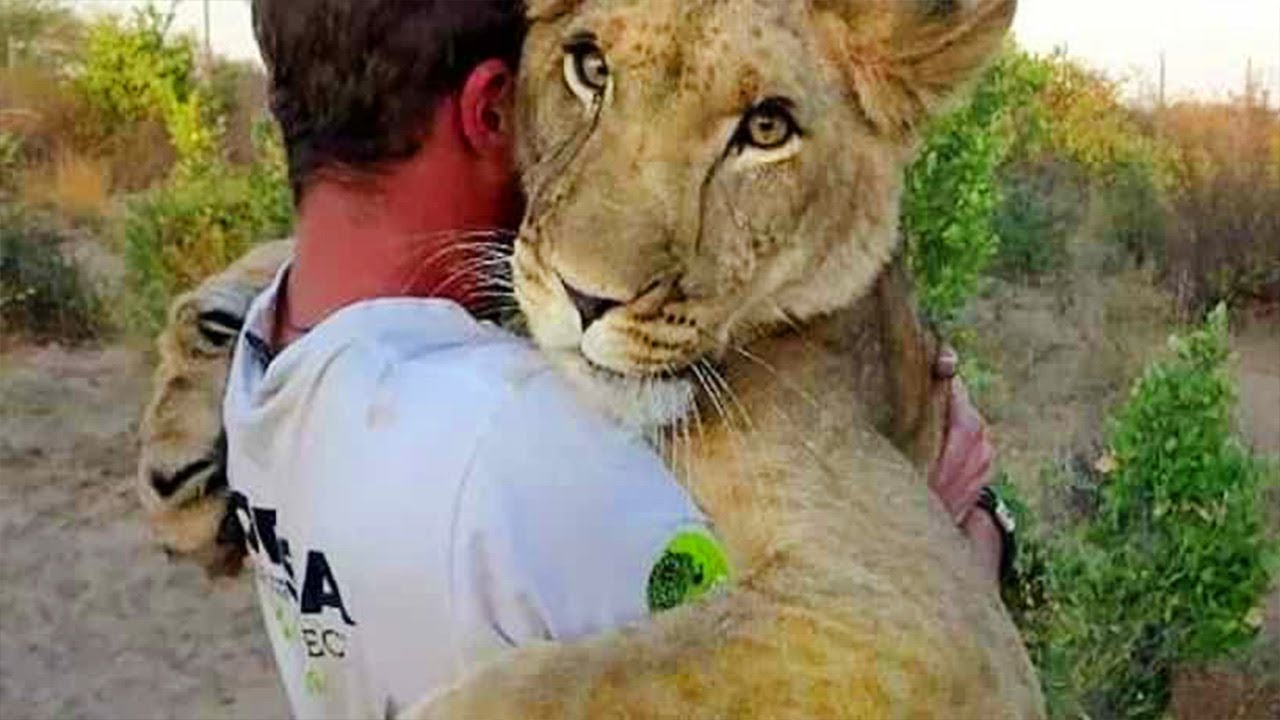 Funny animal clips that perfectly capture pet life