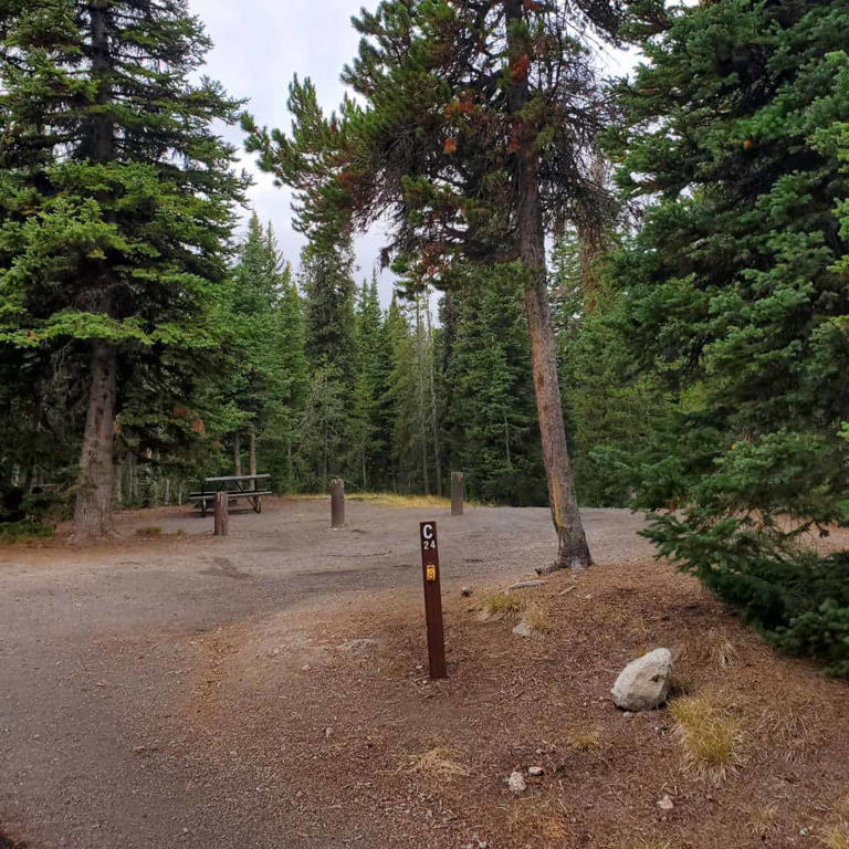 Lewis Lake Campground - Yellowstone National Park
