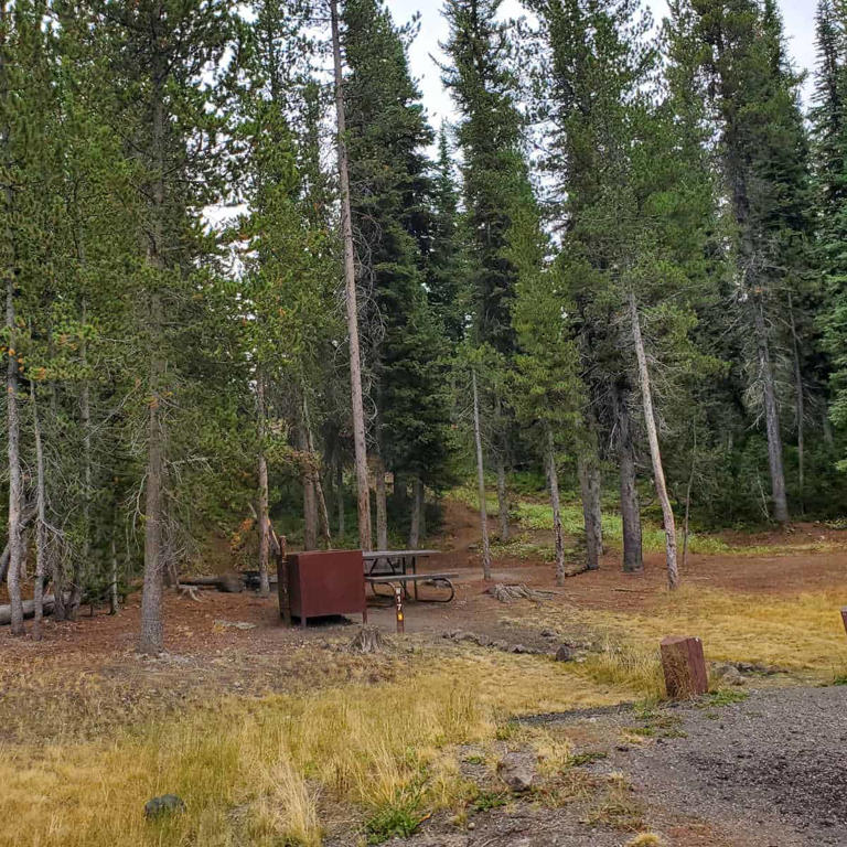 Lewis Lake Campground - Yellowstone National Park
