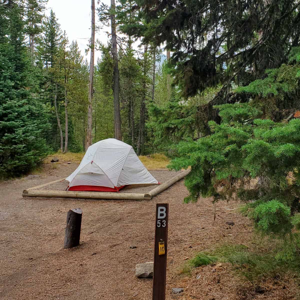 Lewis Lake Campground - Yellowstone National Park