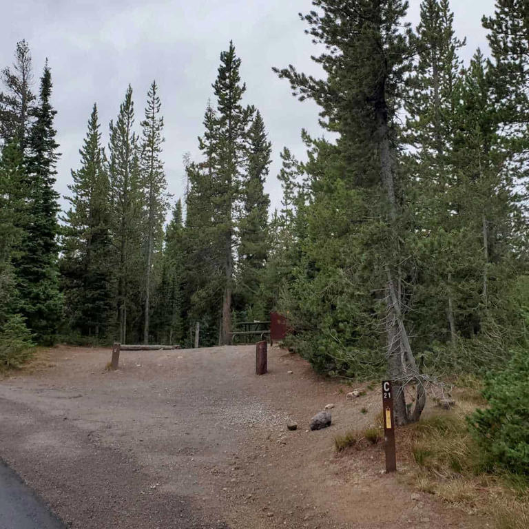 Lewis Lake Campground - Yellowstone National Park