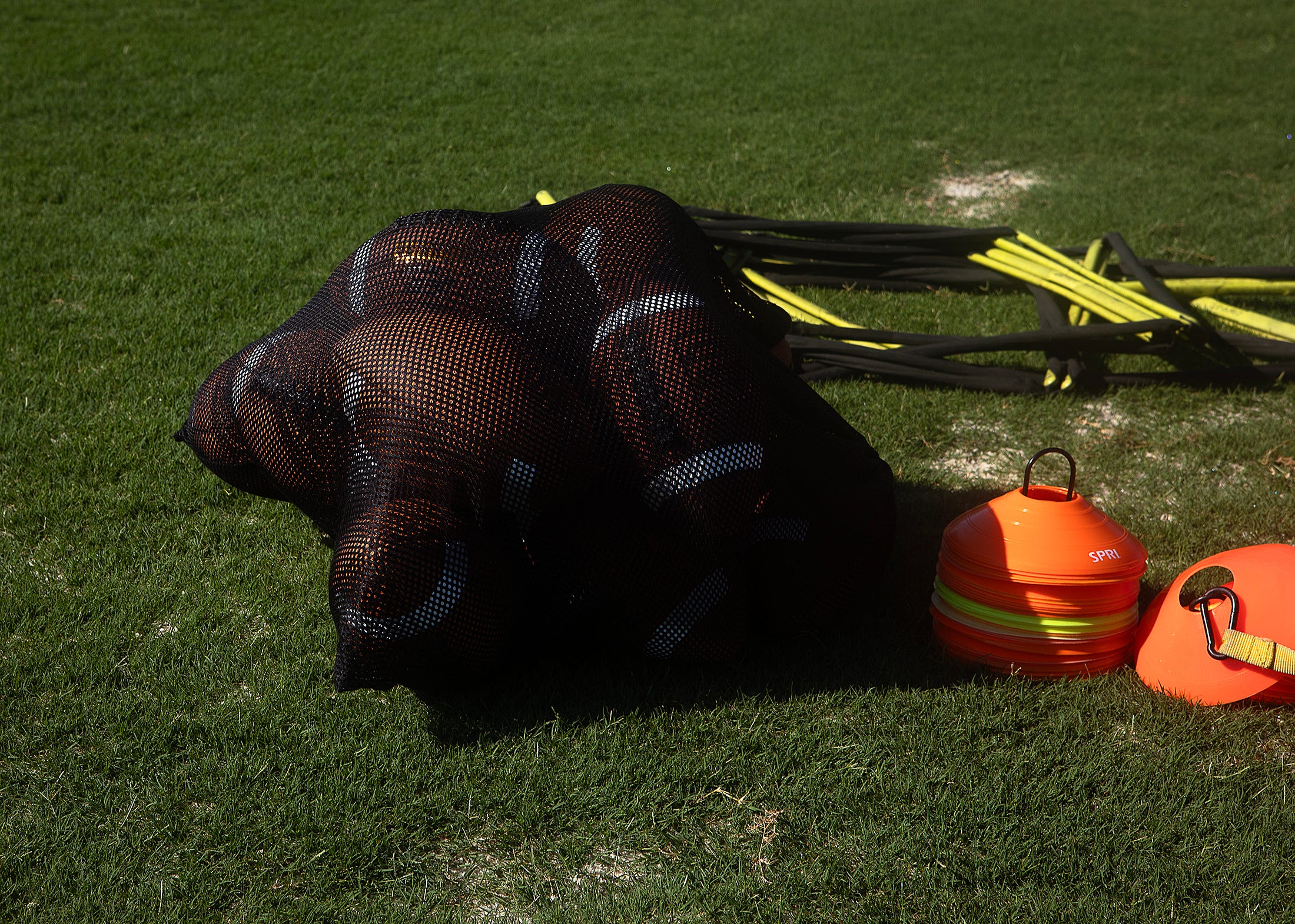 Former FSU defensive back Javien Elliott will host FSU Panama City ...