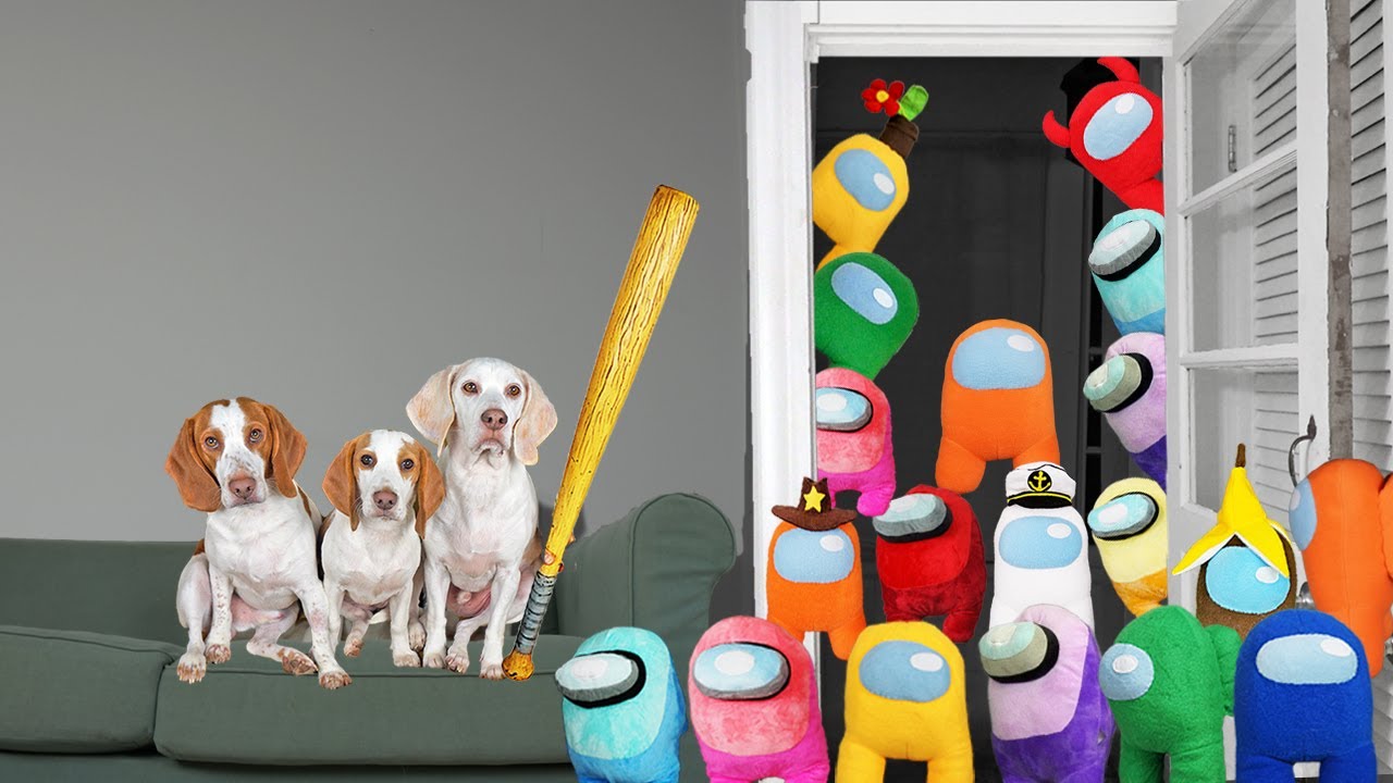 Dogs Kill All the Crewmates from Among Us: Funny Dog Maymo