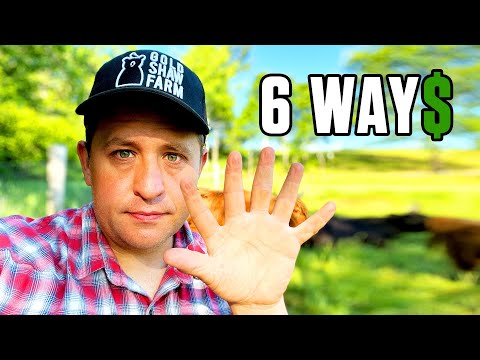 How to Find Funding to Start Your Dream Farm