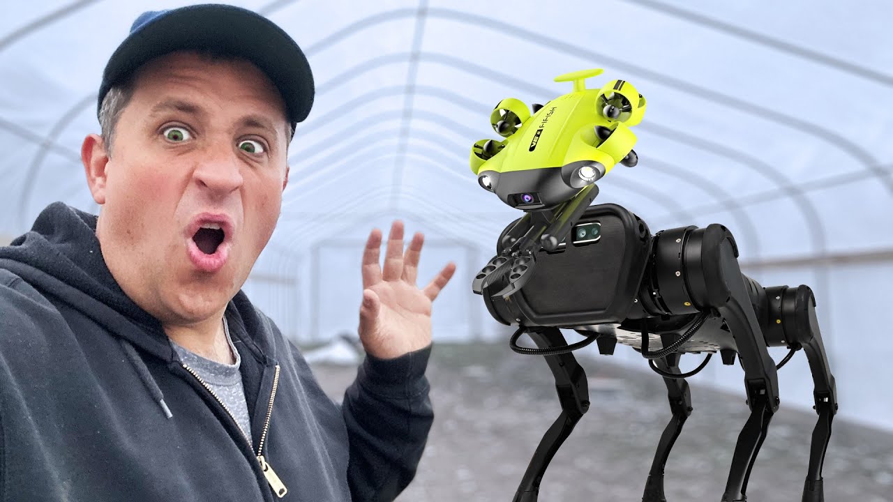 Showcasing best innovations improving farm automation efficiency