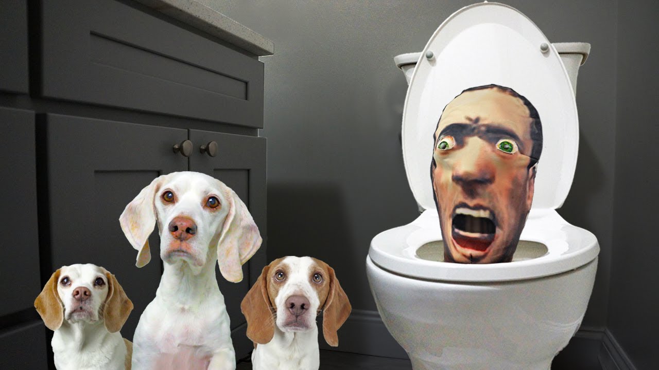 Skibidi Toilet man surprises dogs in real life prank