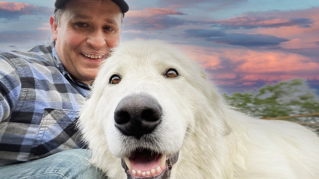 The bizarre science behind communicating with animals