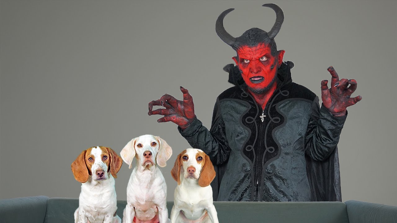 Dogs confront the devil in spooky Halloween prank