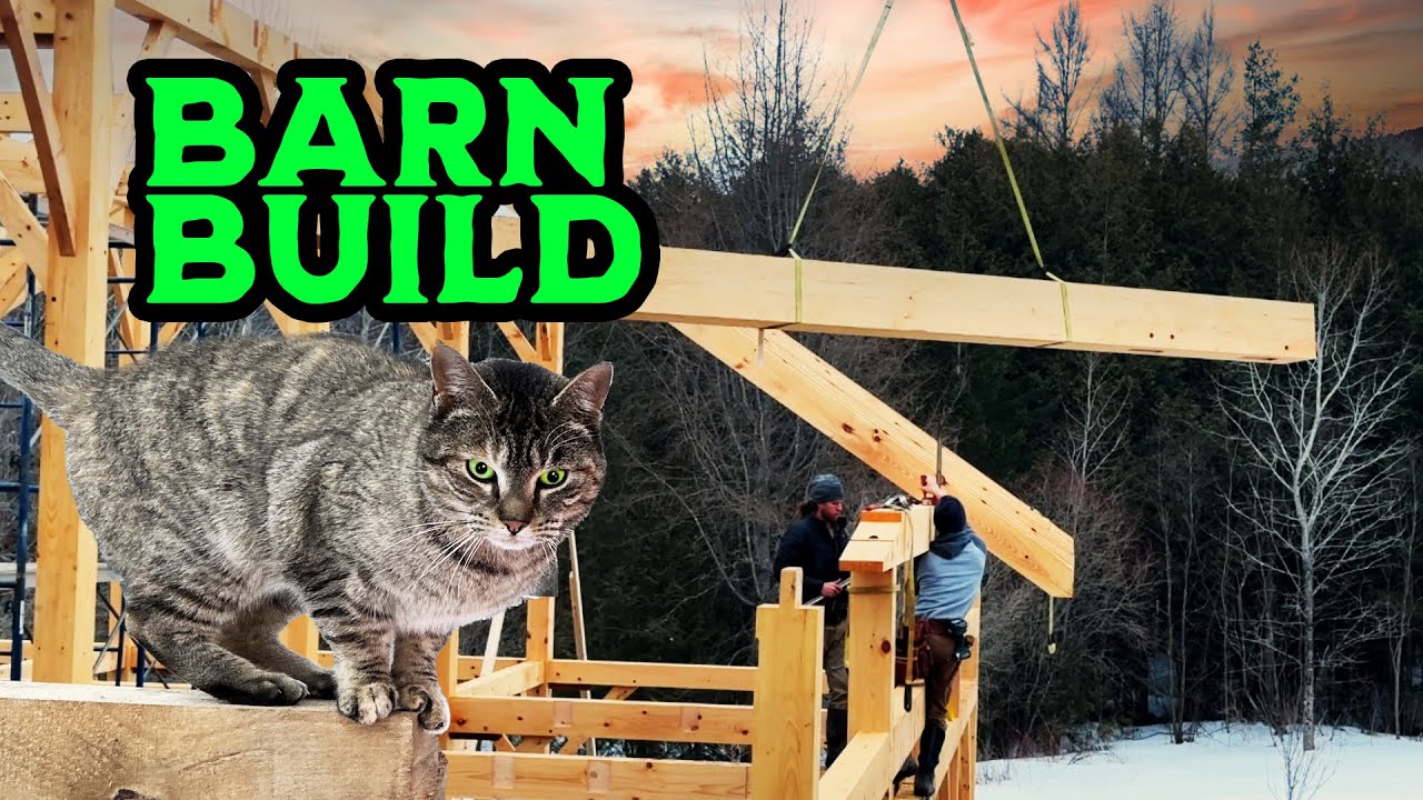 How to build a barn frame in just 36 hours