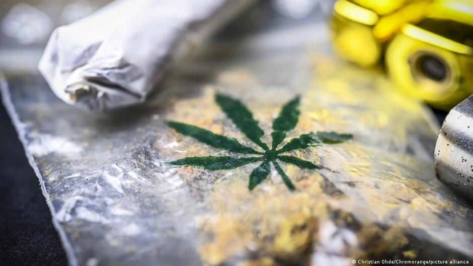Un estudio sugiere que el cannabis podría ayudar a reducir o incluso ... Un estudio sugiere que el cannabis podría ayudar a reducir o incluso ...