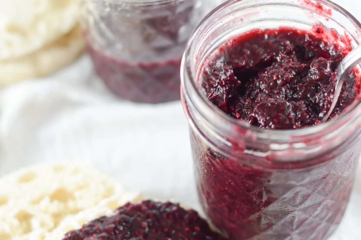 15 Low-Carb Berry Recipes That Will Make You Forget Sugar