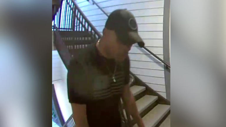 Police Searching For Franklin Porch Pirate Caught On Camera