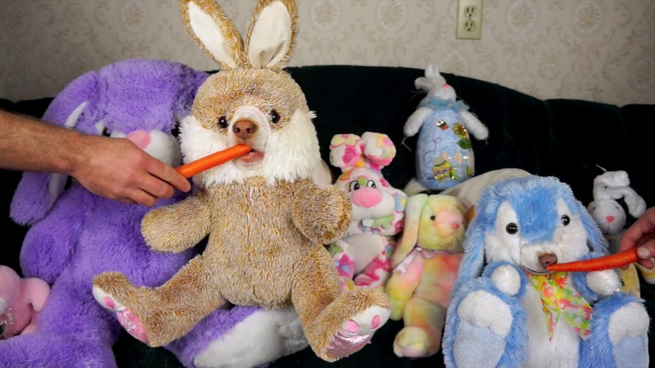 Stuffed bunnies suddenly spark chaos in the living room