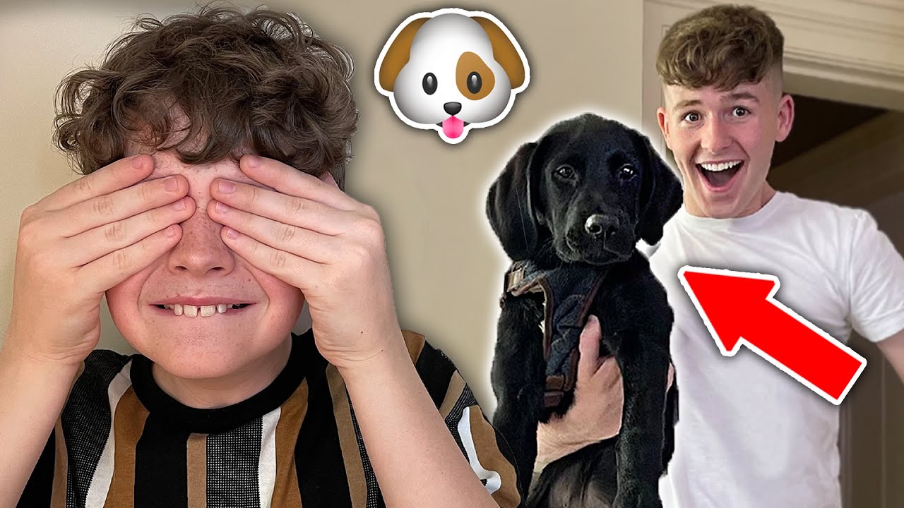 Little brother reacts to receiving a surprise new puppy