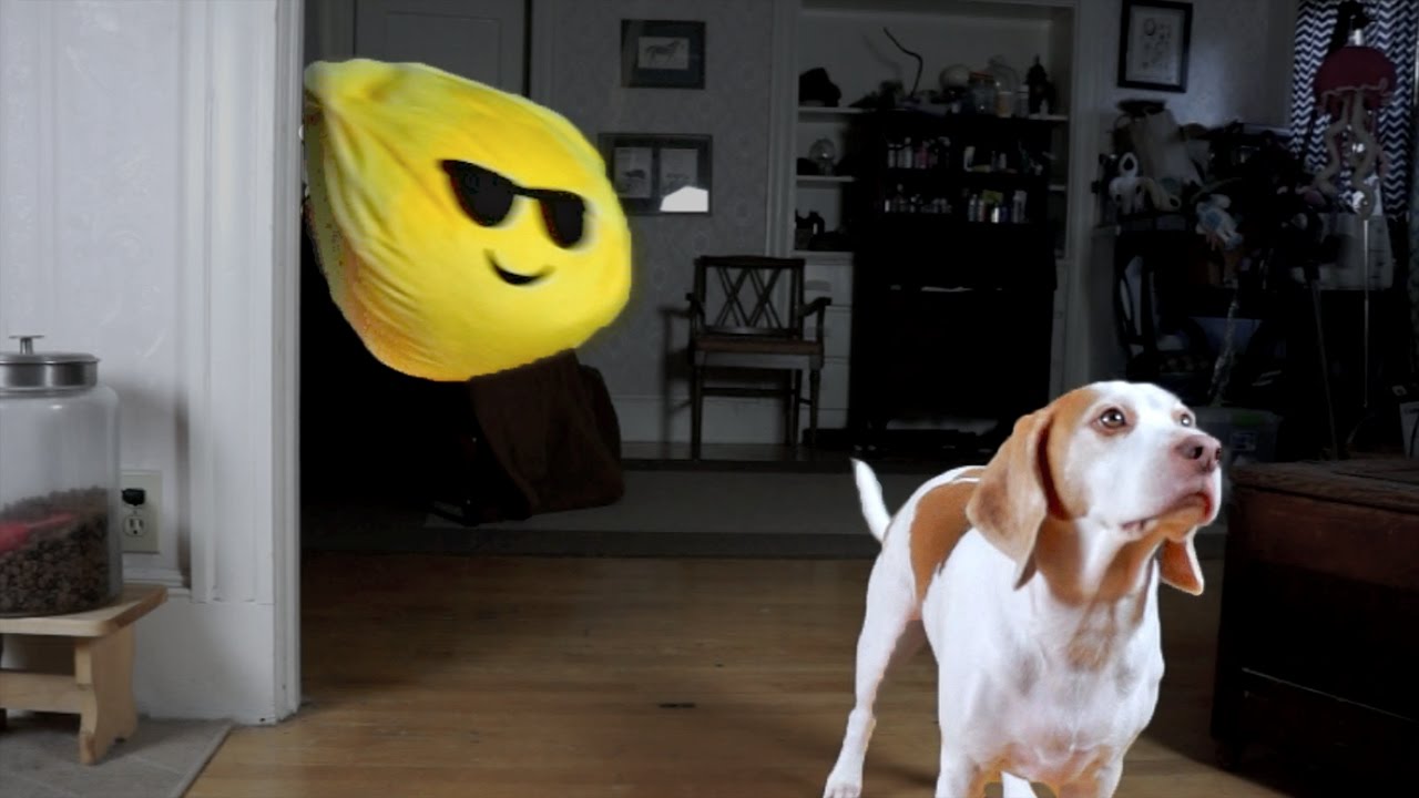A giant emoji startles a curious dog