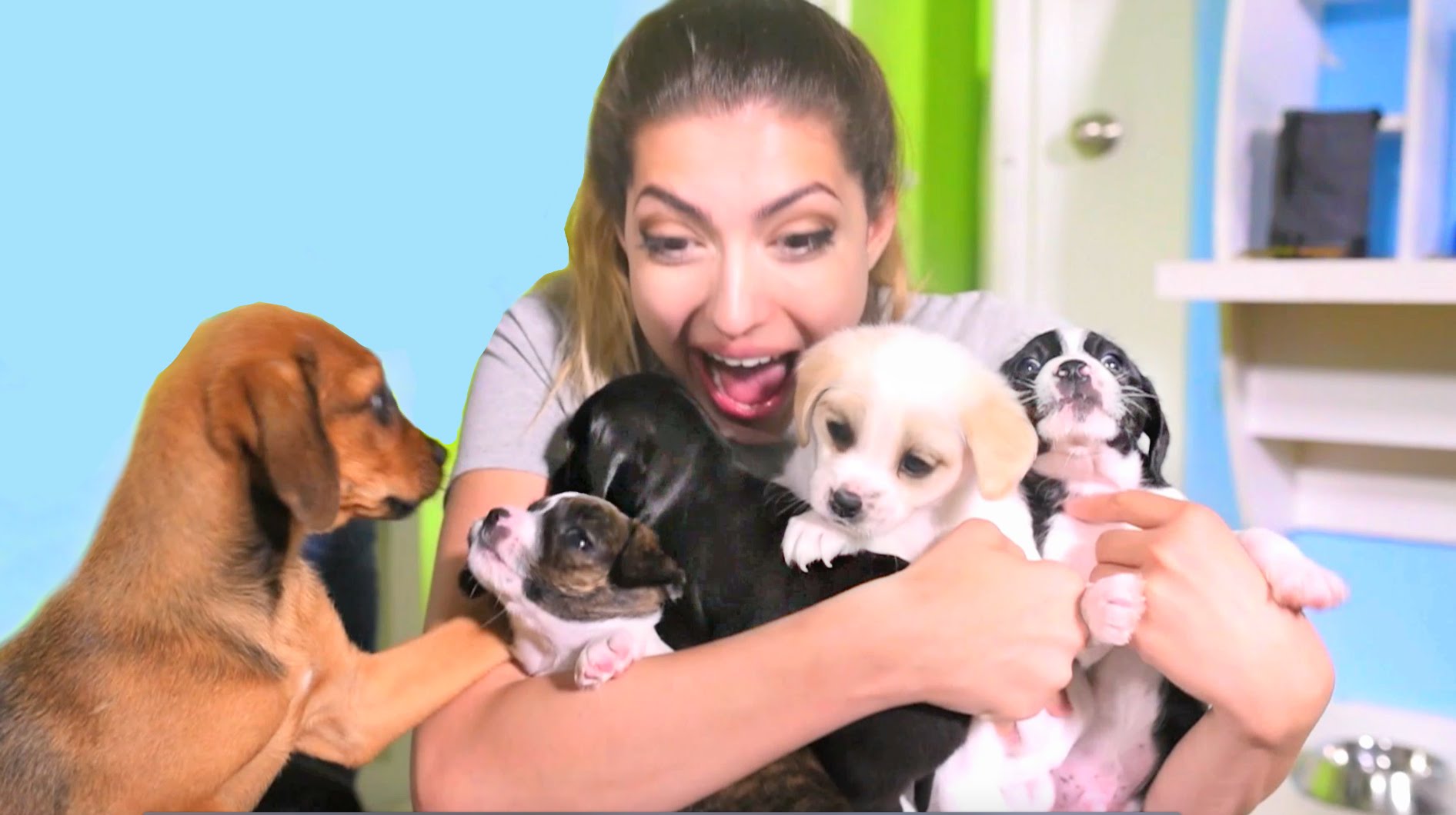 Surprise Puppy Gift Sparks Cutest Reaction Ever