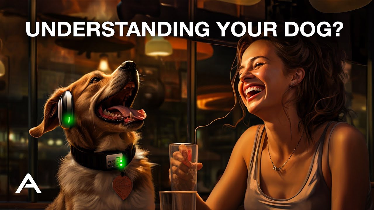 What we know about how dogs and humans communicate