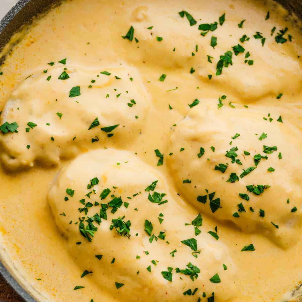 Chicken Breast In Cheddar Cheese Sauce