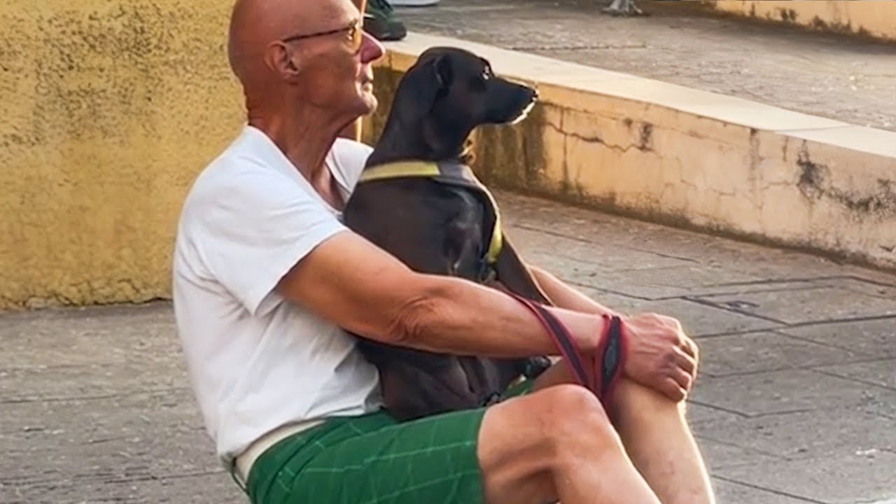Dog Finds His Perfect Place in Owner’s Loving Heart