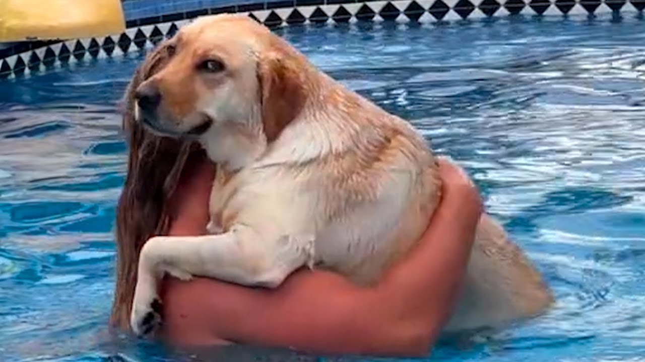 When my dog steals my boyfriend’s heart with silly charm