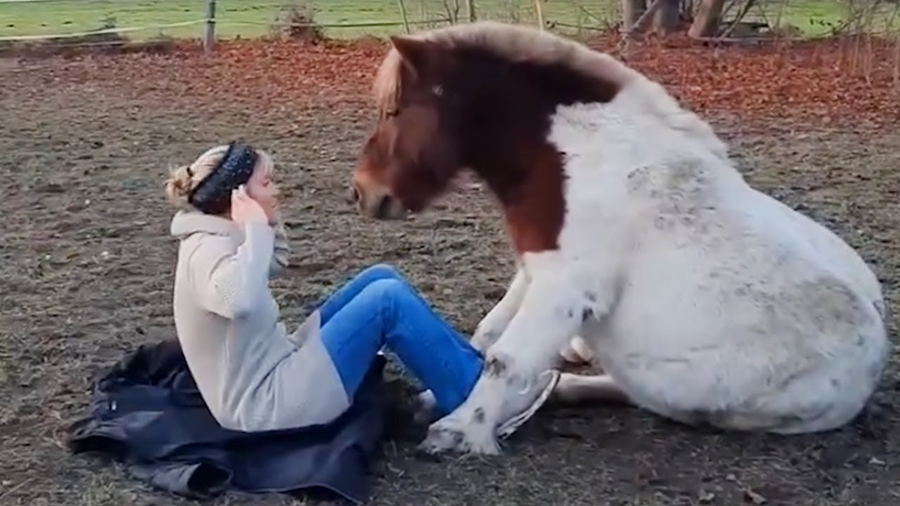 Animals who might be better than humans